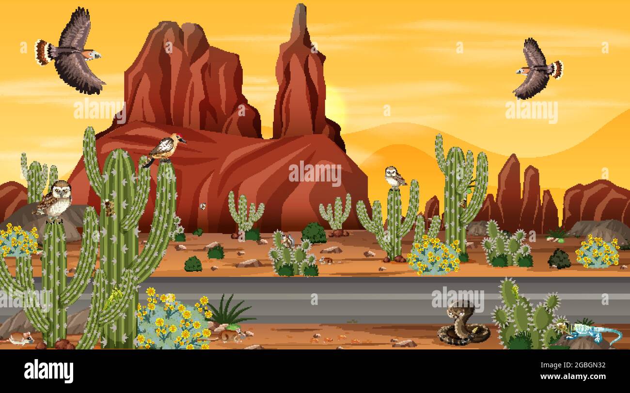Road through the desert forest landscape scene with desert animals ...