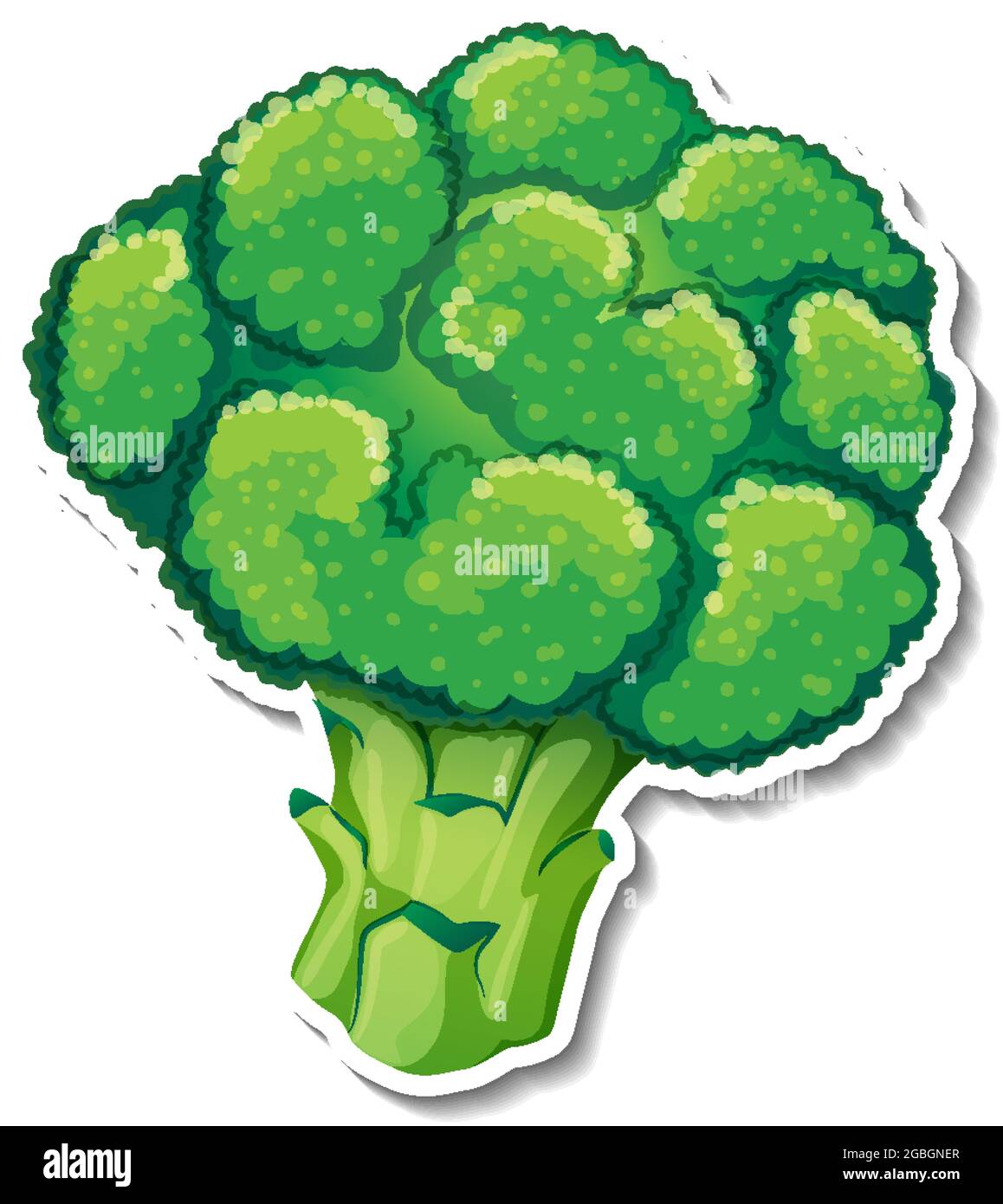 Broccoli sticker on white background illustration Stock Vector Image ...