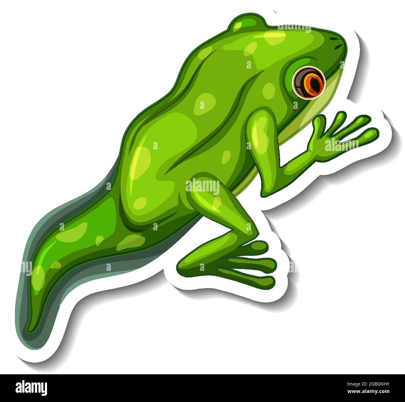 Froglet illustration hi-res stock photography and images - Alamy