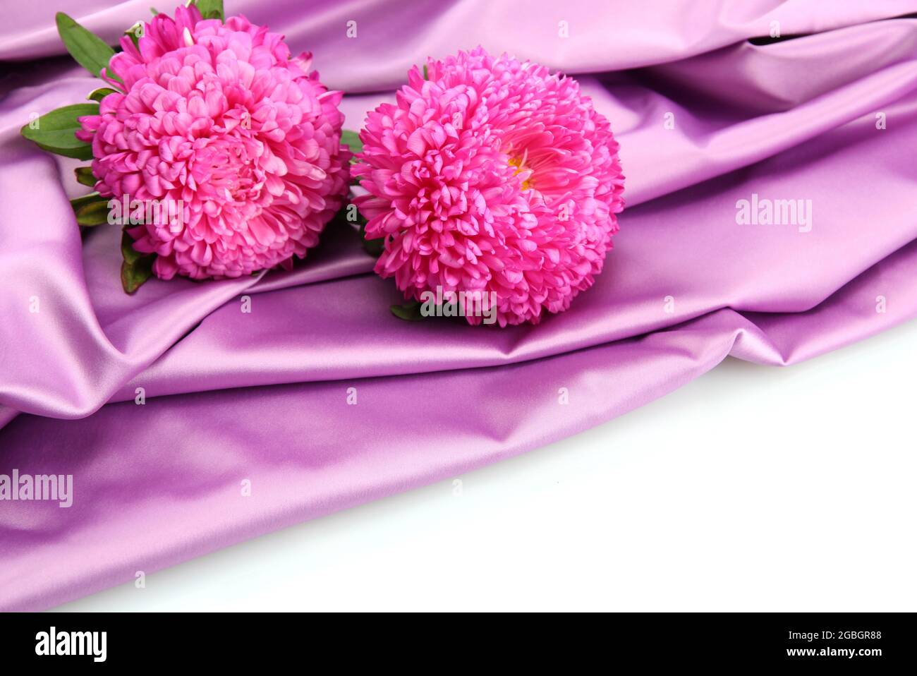 beautiful aster flowers, on silk background Stock Photo - Alamy