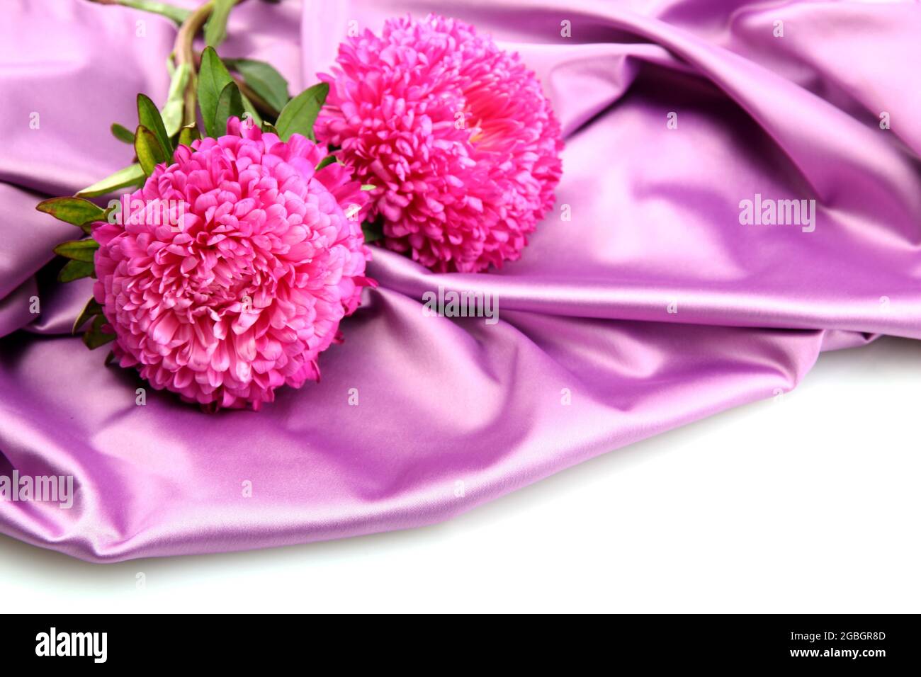 beautiful aster flowers, on silk background Stock Photo - Alamy