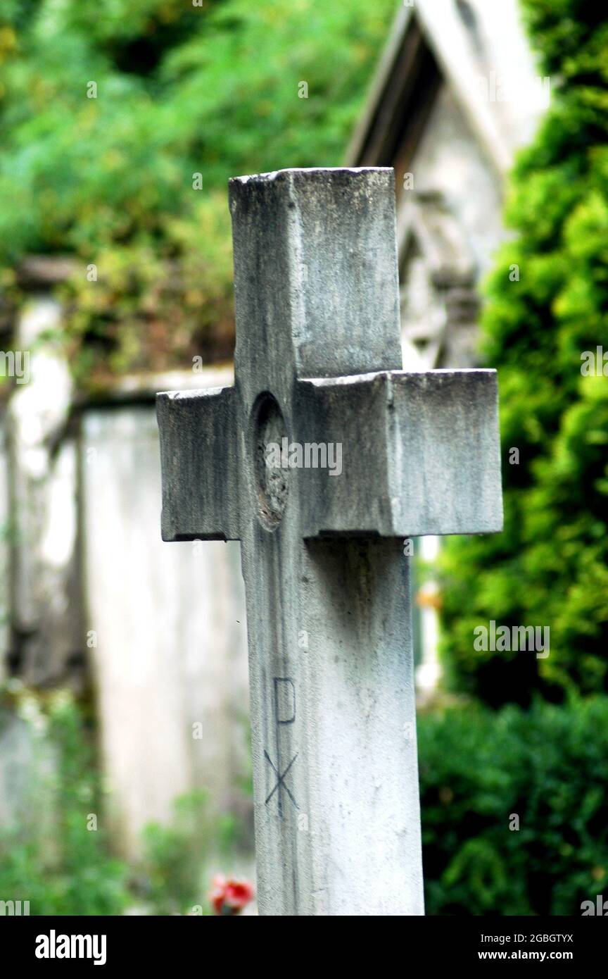 Closeup shot tree cemetery hi-res stock photography and images - Alamy