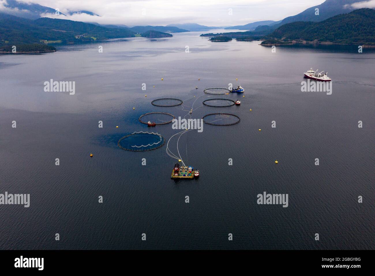 Salmon farming, fish cages and nets Stock Photo - Alamy