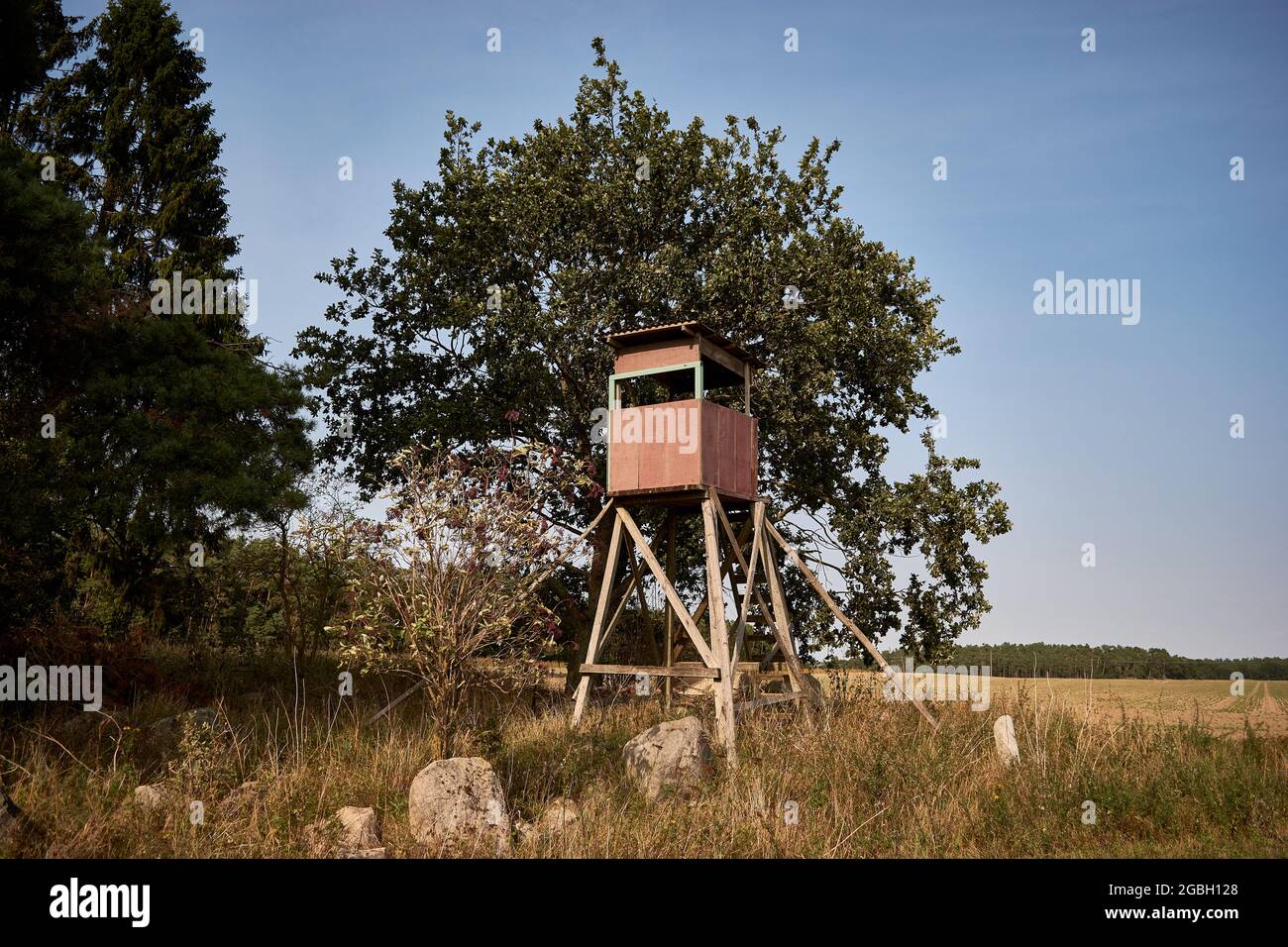 Wooden hunting hide tower in a fiel Stock Photo - Alamy