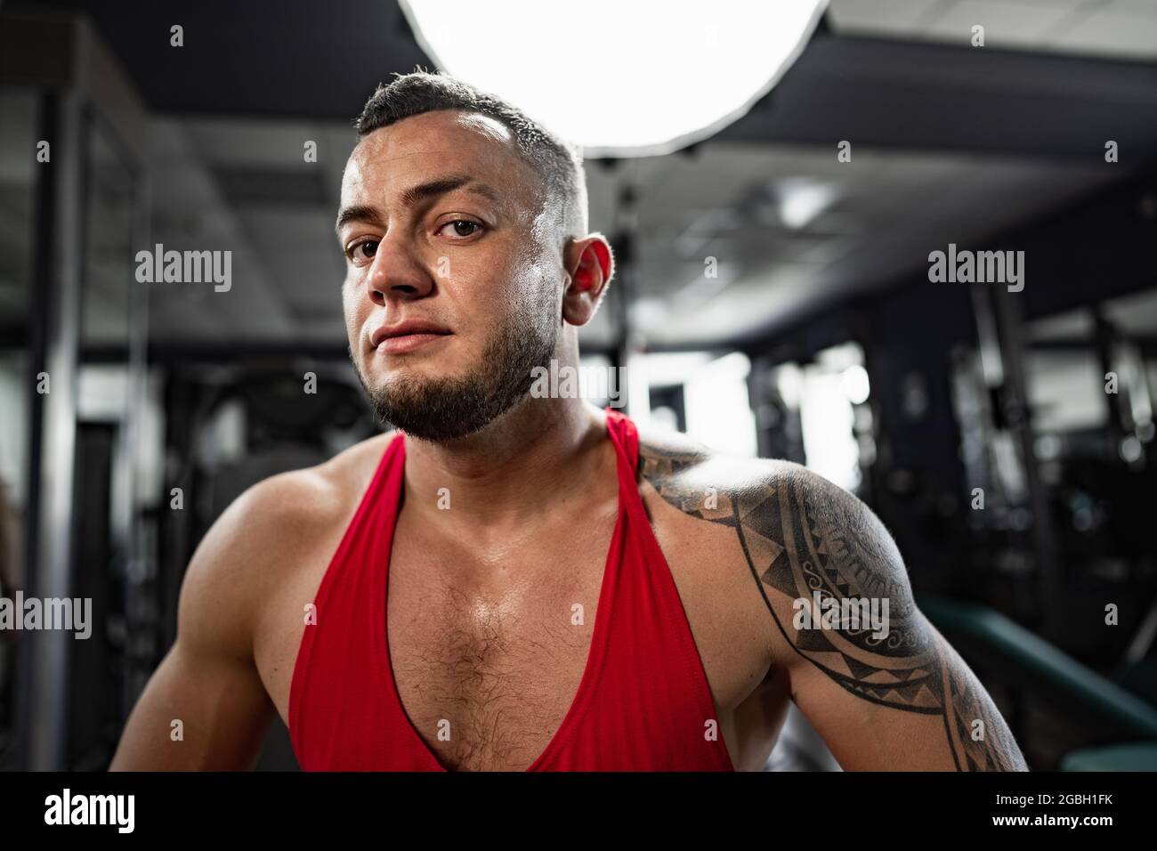 Portrait of man bodybuilder in red shirt in gym Stock Photo - Alamy