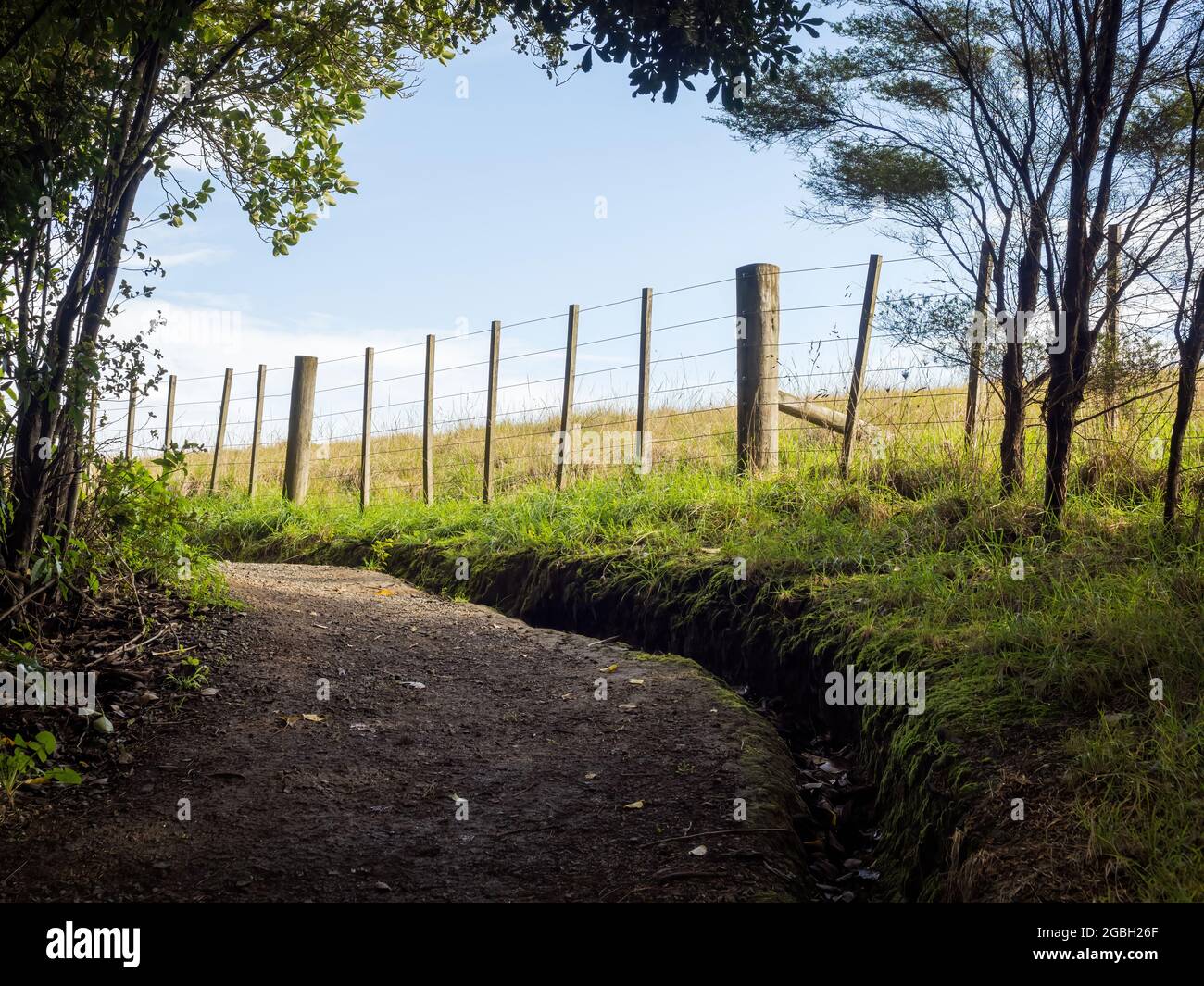 wire boundary farm fence with wooden posts in park Stock Photo - Alamy