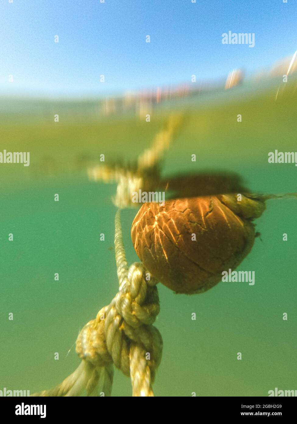 Buoy float on the sea water Stock Photo - Alamy