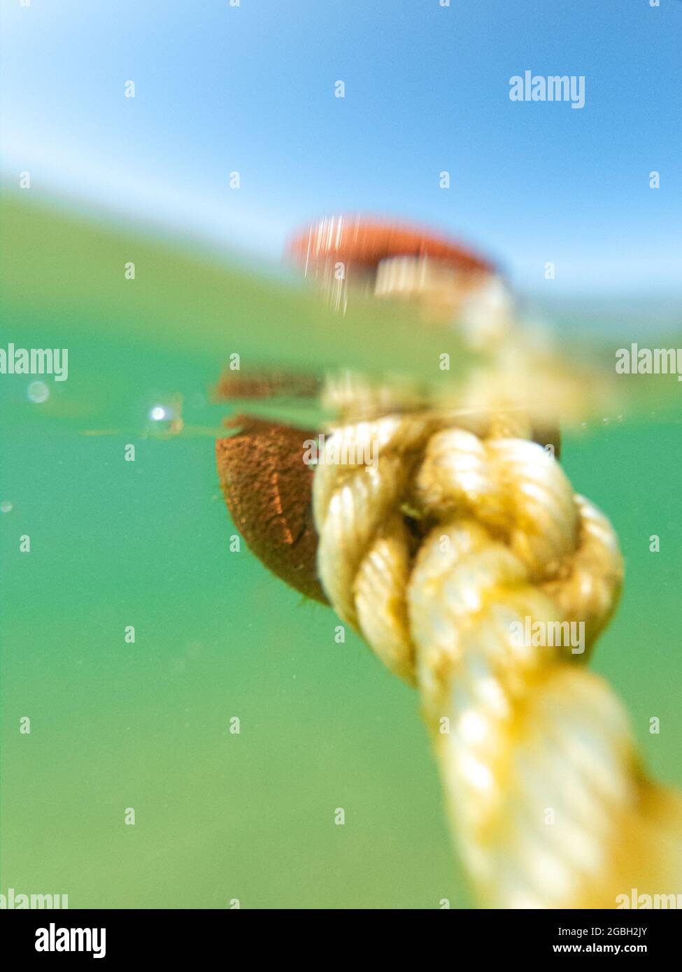 Buoy float on the sea water Stock Photo - Alamy