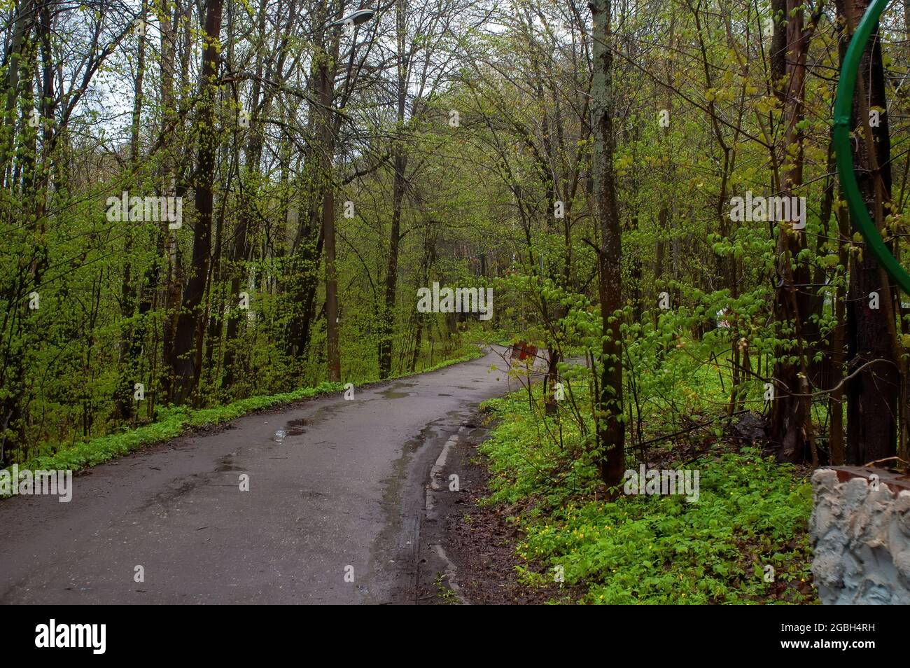 Large pond on a cloudy day hi-res stock photography and images - Alamy