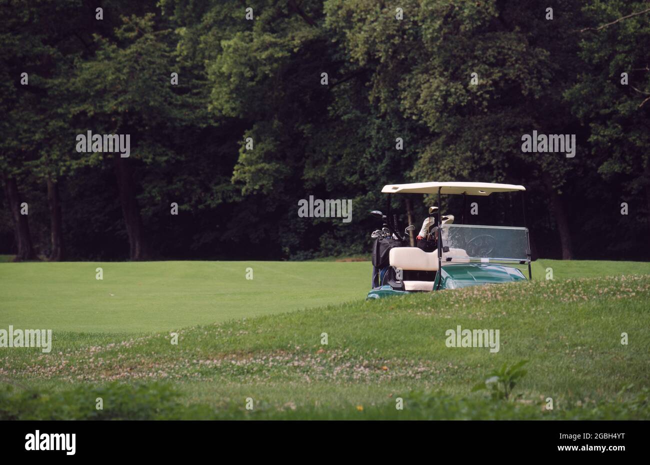little car for golf in the Green grass field - activity concept Stock ...