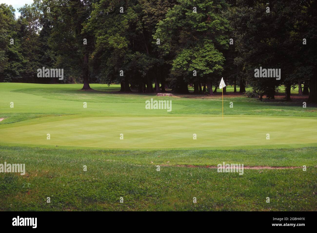 Green grass golf field - activity concept Stock Photo - Alamy