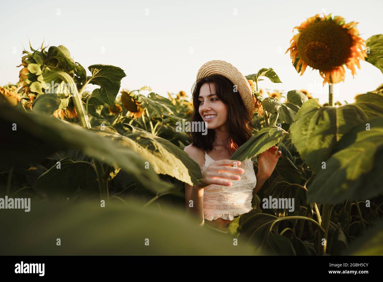Smiling woman wearing a hat standing in a field of sunflowers in sunset ...