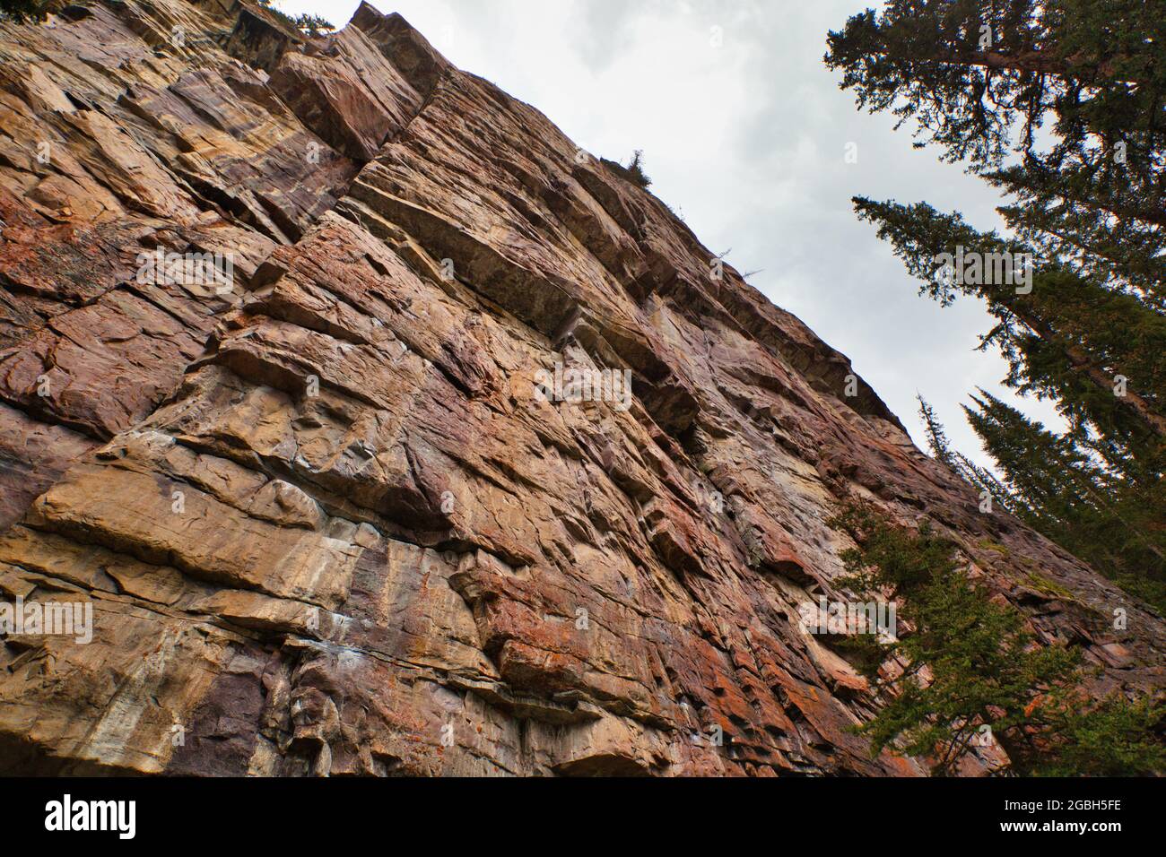 Rock face and coniferous trees along Lake Louise Stock Photo - Alamy