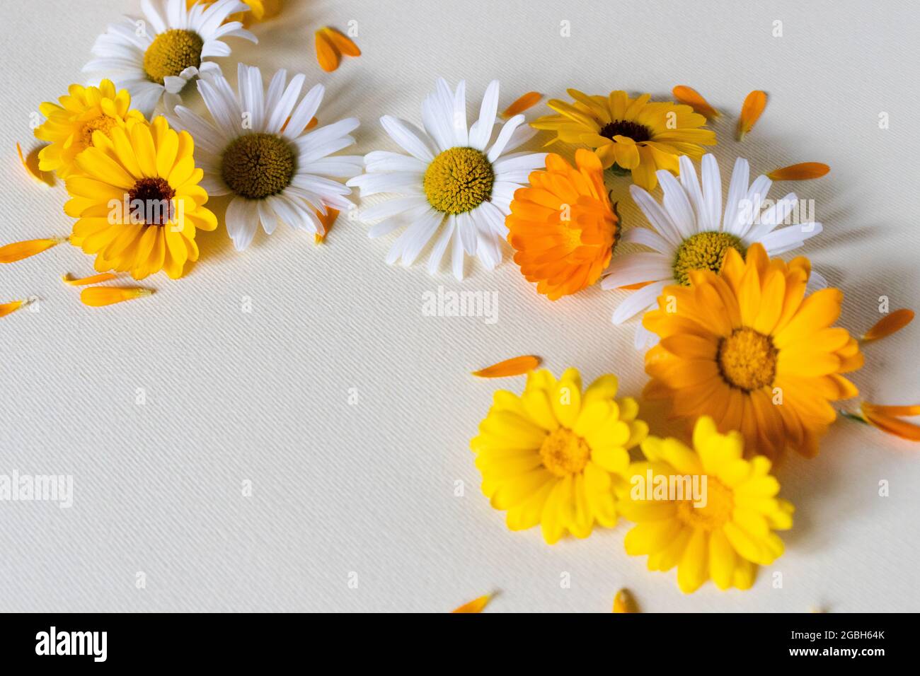 Daisy and calendula flowers frame. Summer bright flowers Stock Photo ...