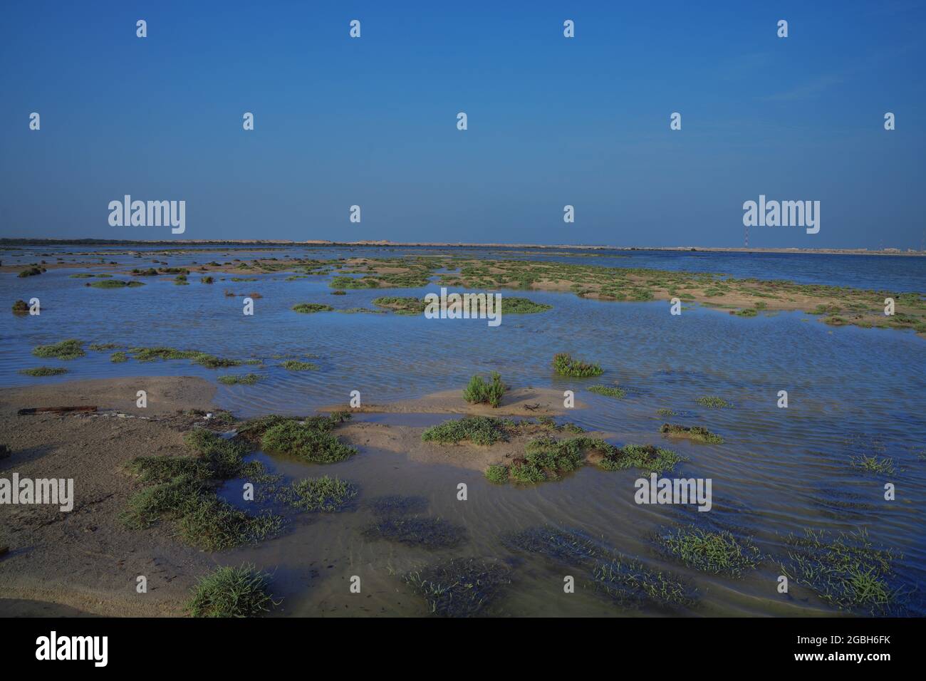Purple Island, is an island located in the municipality of Al Khor on ...