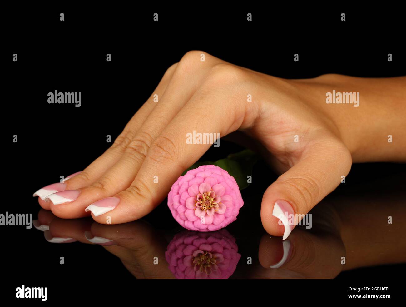 Pink flower with woman's hand on black background Stock Photo - Alamy