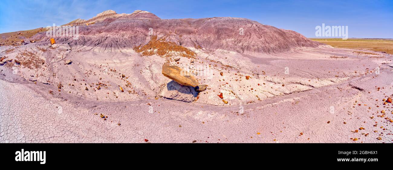 West side of the Purple Peninsula, Petrified Forest National Park ...