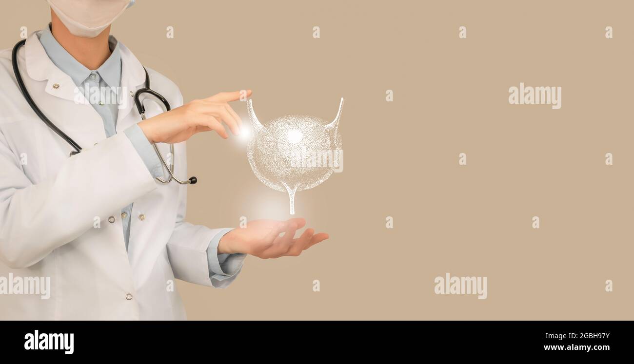 Female doctor holding virtual Bladder in hand. Handrawn human organ ...