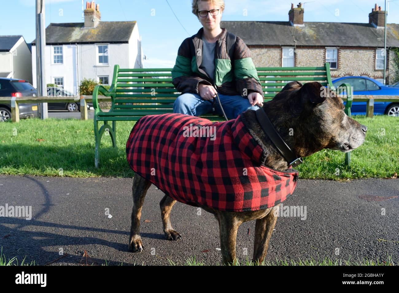 Cute Senior Dog with Owner Sitting on Bench in the Park Stock Photo - Alamy