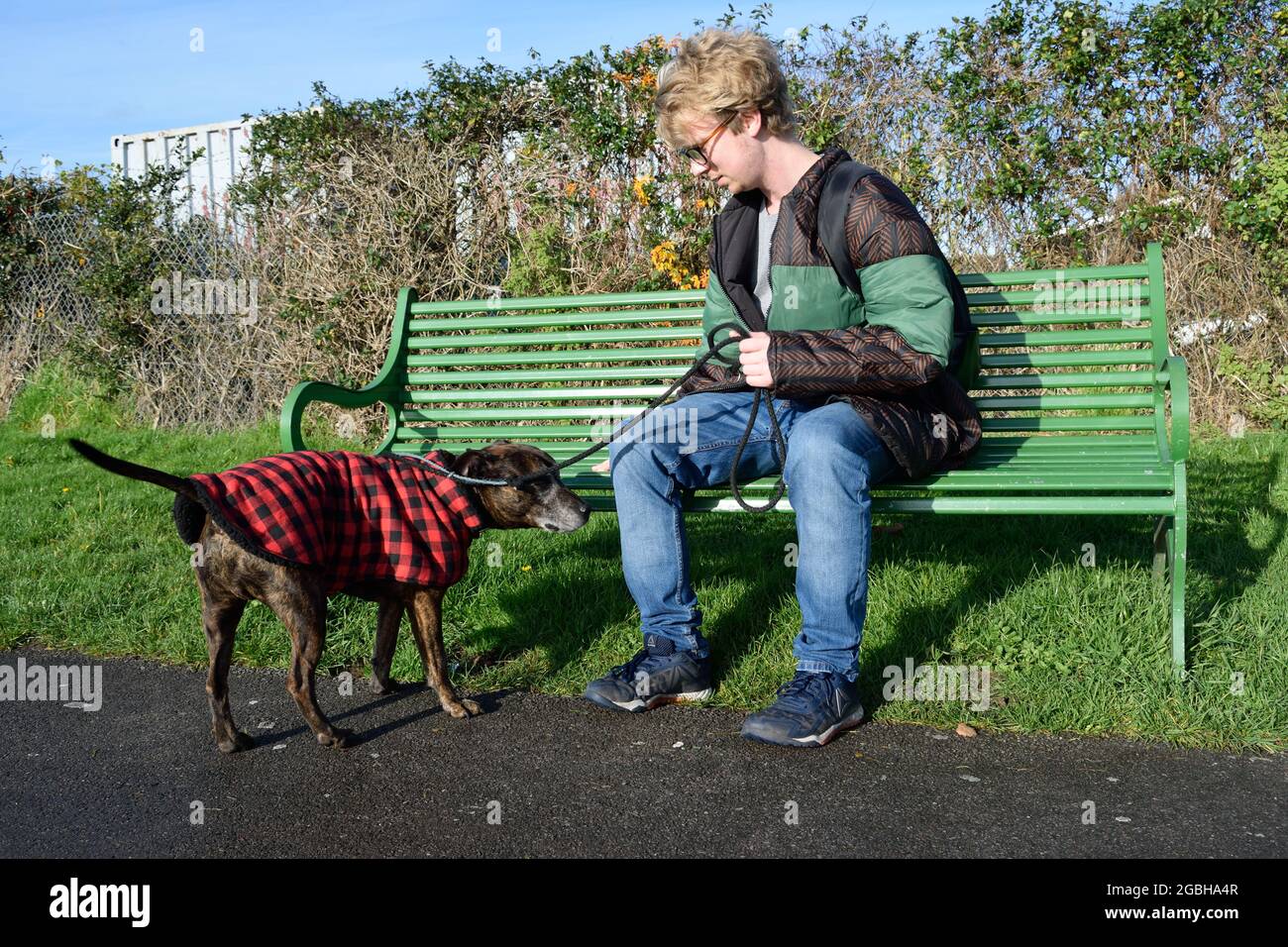 Cute Senior Dog with Owner Sitting on Bench in the Park Stock Photo - Alamy