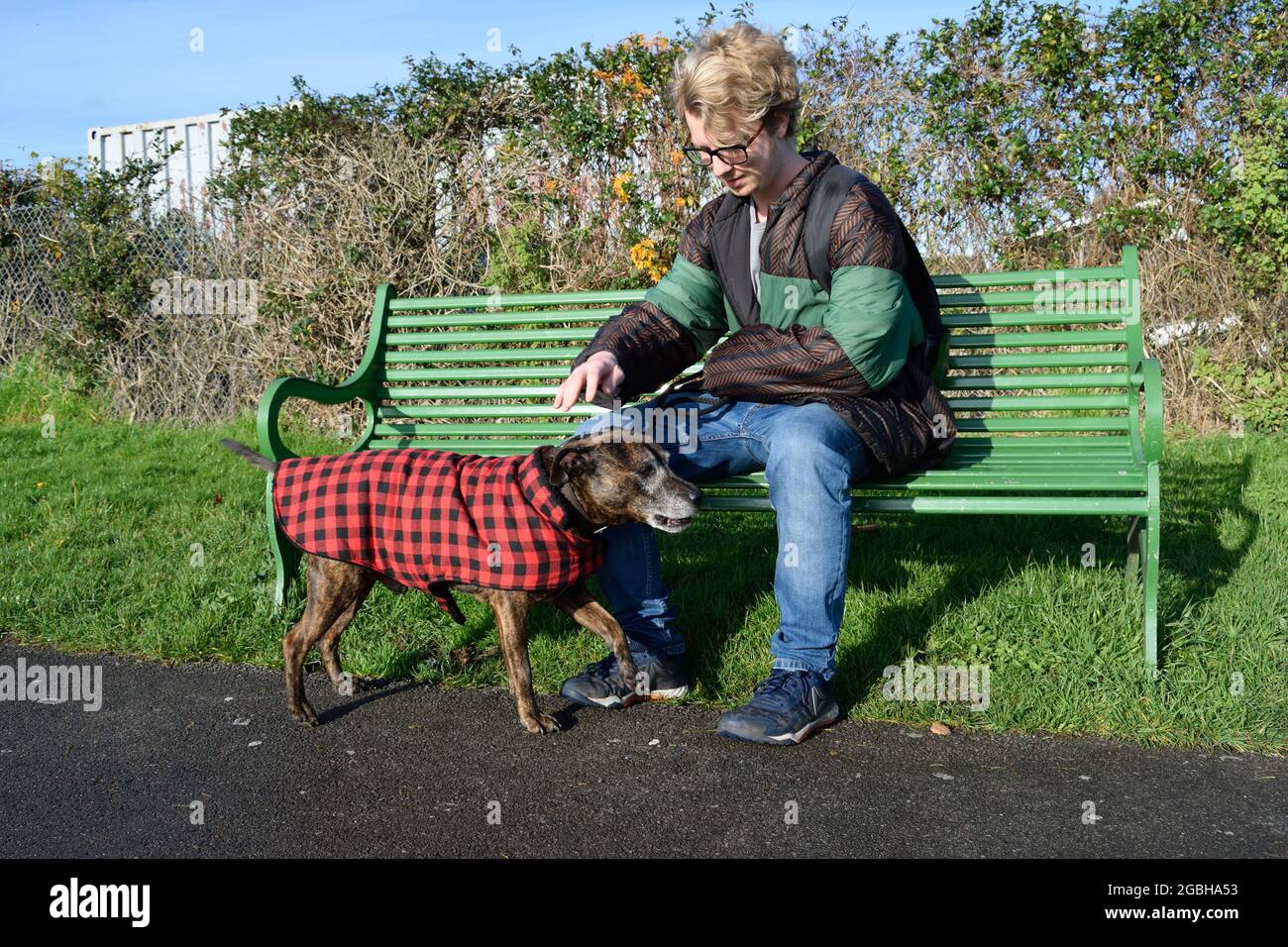 Cute Senior Dog with Owner Sitting on Bench in the Park Stock Photo - Alamy