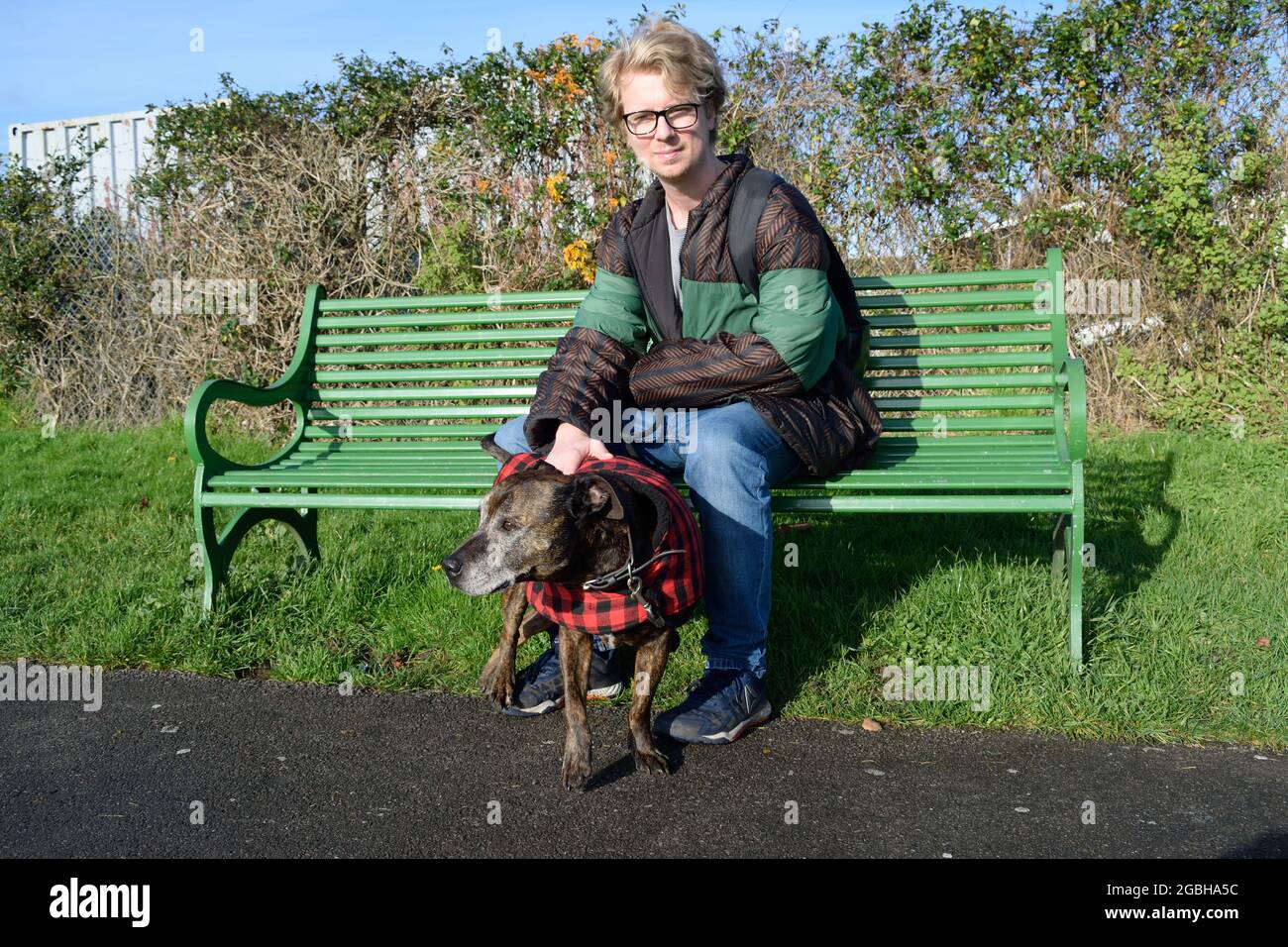 Cute Senior Dog with Owner Sitting on Bench in the Park Stock Photo - Alamy