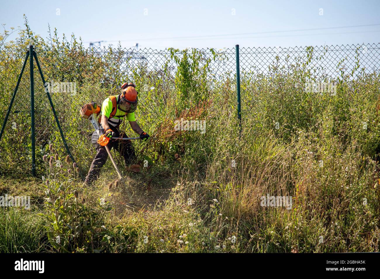 Man using a Stihl brush cutter to clear an embankment of weeds Stock ...