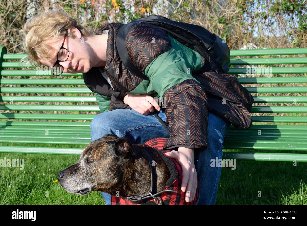 Cute Senior Dog with Owner Sitting on Bench in the Park Stock Photo - Alamy