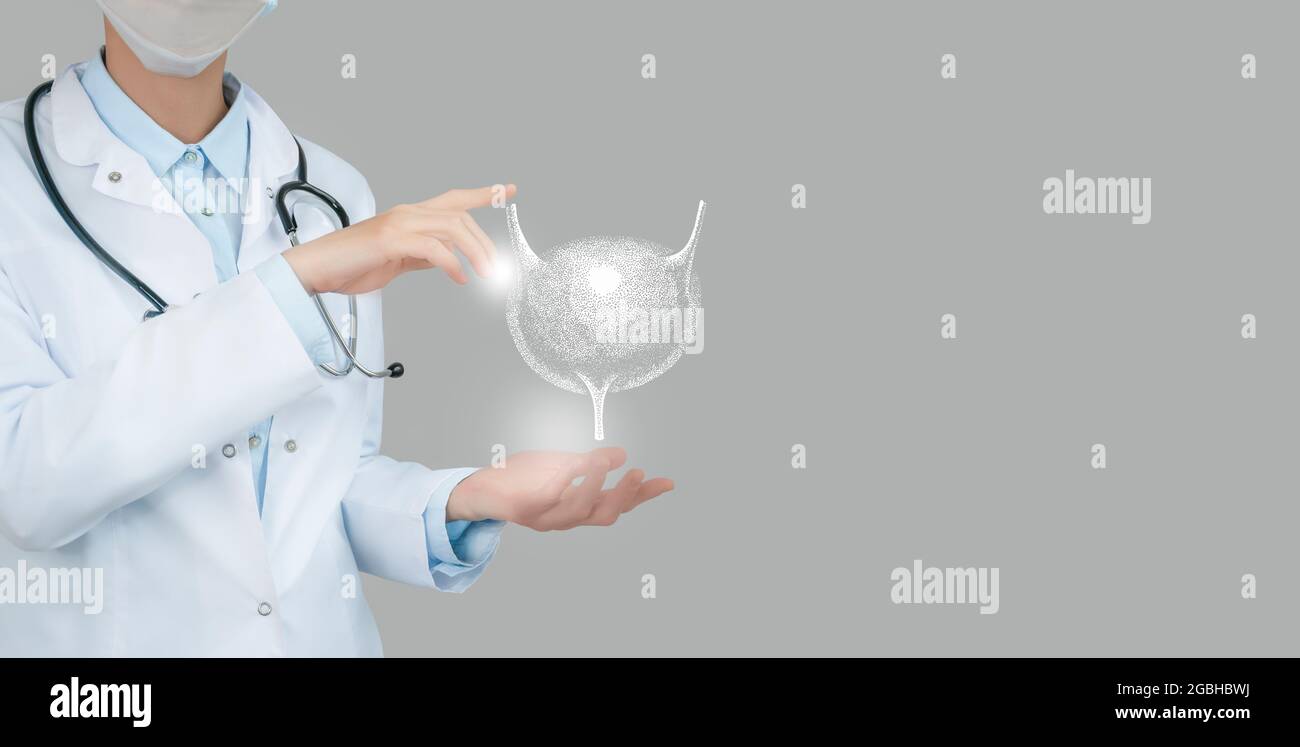 Female doctor holding virtual Bladder in hand. Handrawn human organ ...