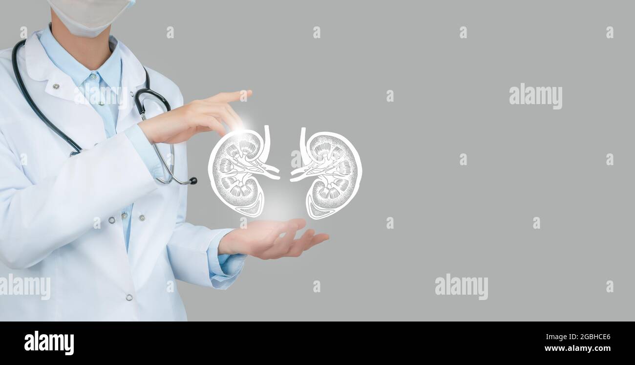 Female doctor holding virtual Kidneys in hand. Handrawn human organ ...