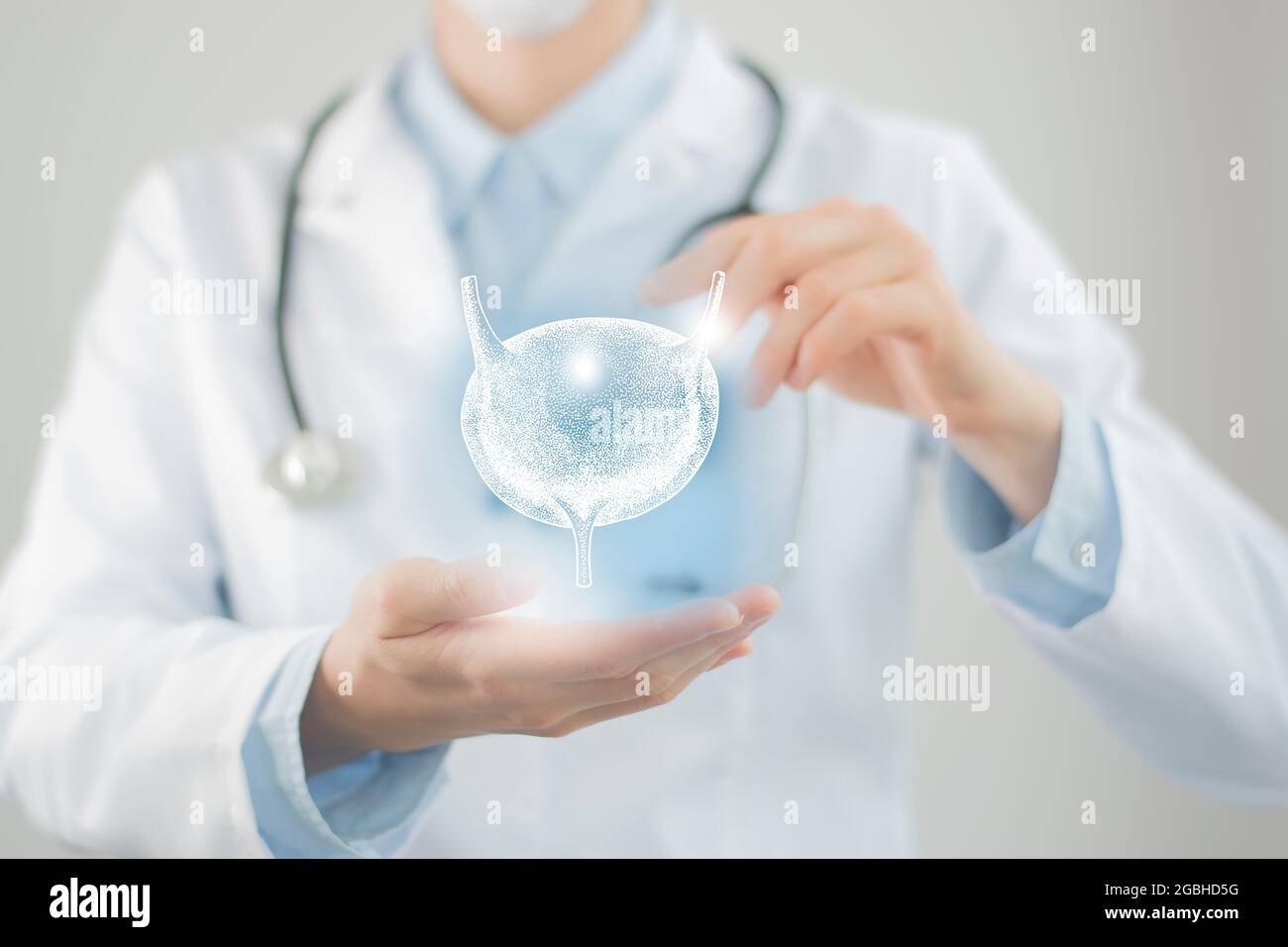 Female doctor holding virtual Bladder in hand. Handrawn human organ ...