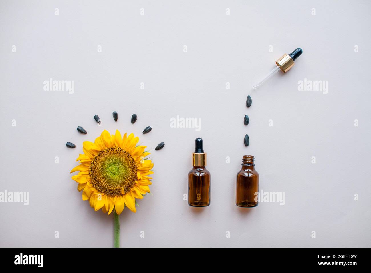 Flat lay of sunflowers and sunflower seeds and bottles for cosmetic ...