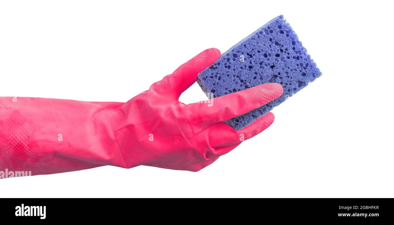 Hand holding sponge for washing, isolated on a white background Stock ...
