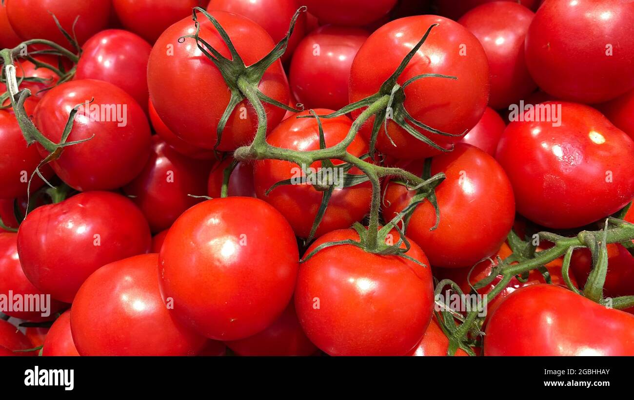 Agricultura comercial hi-res stock photography and images - Alamy