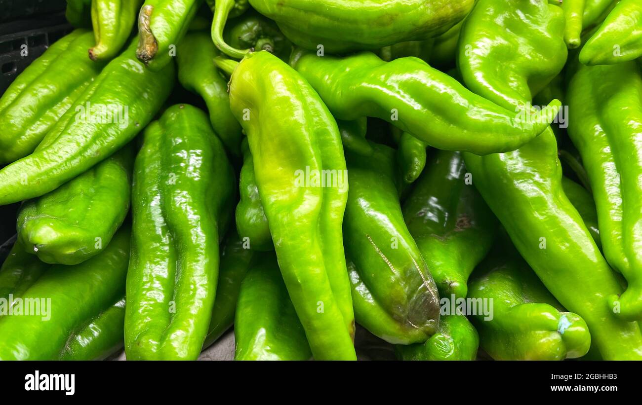 Fondo vegetal verde hi-res stock photography and images - Alamy