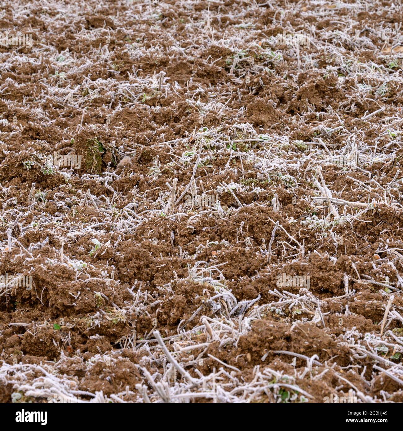 The soil is covered with spring frost, the ground wakes up after winter ...