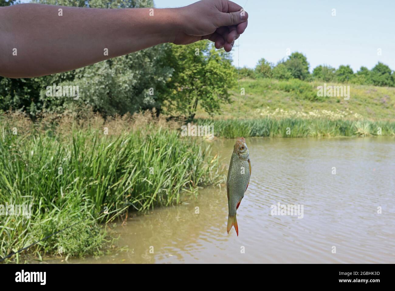 Fishermans fresh catch on hi-res stock photography and images - Alamy