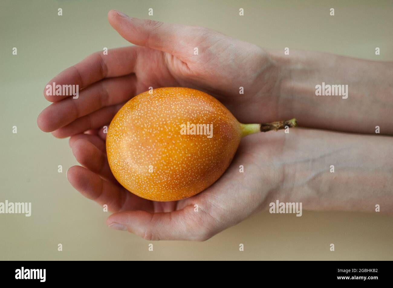 Fresh organic ripe granadilla or yellow passion fruit in female hands ...