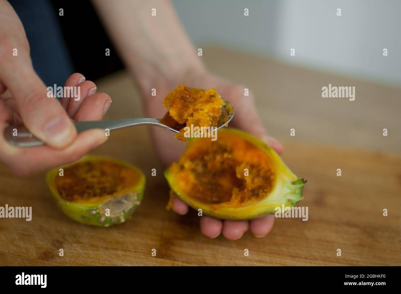 Female eats fresh organic ripe cactus pear or opuntia with a spoon ...