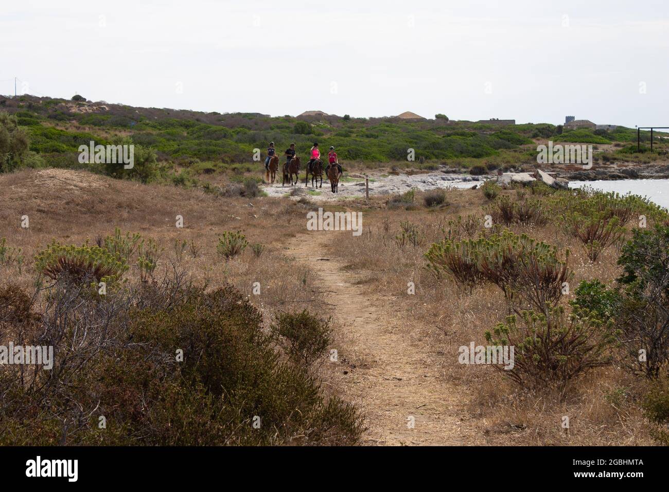 Horse riding in nature Stock Photo - Alamy