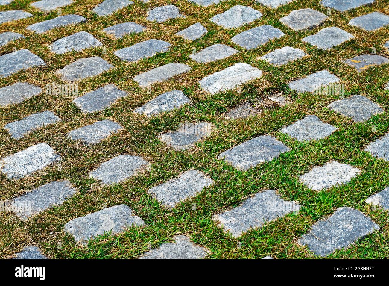 Grass paving block hi-res stock photography and images - Alamy