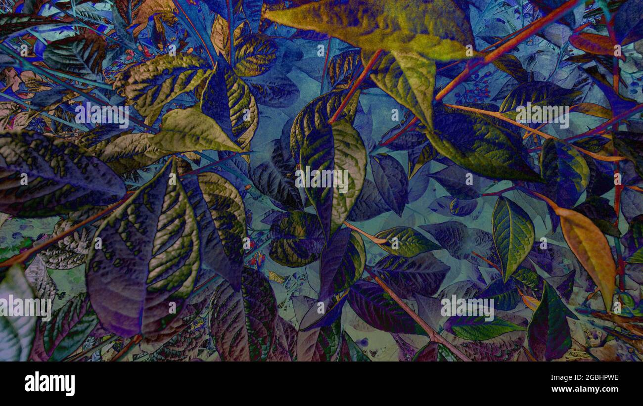 Colourful leaf background Stock Photo - Alamy