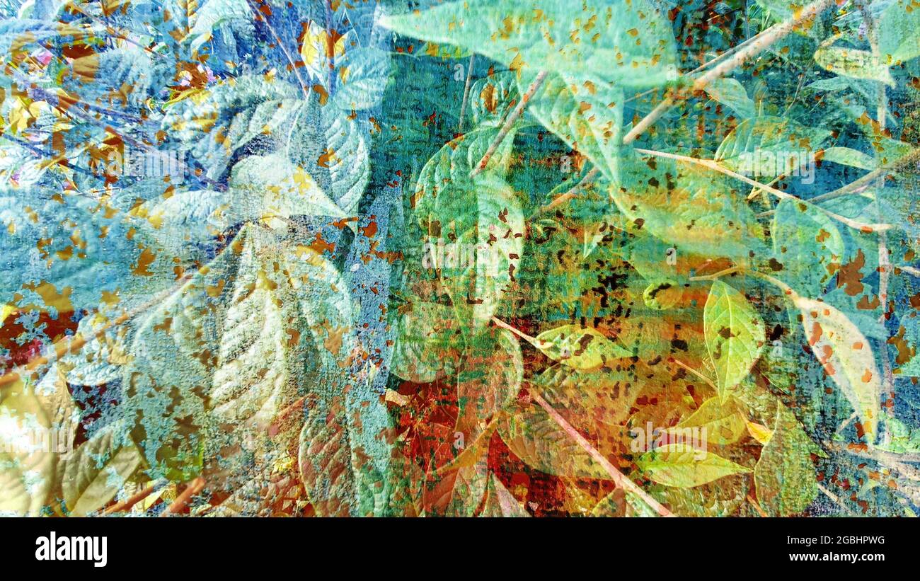 Colourful leaf background Stock Photo - Alamy