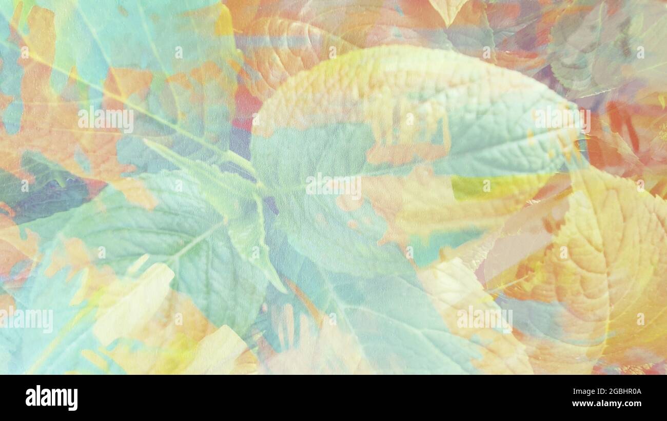 Colourful leaf background Stock Photo - Alamy