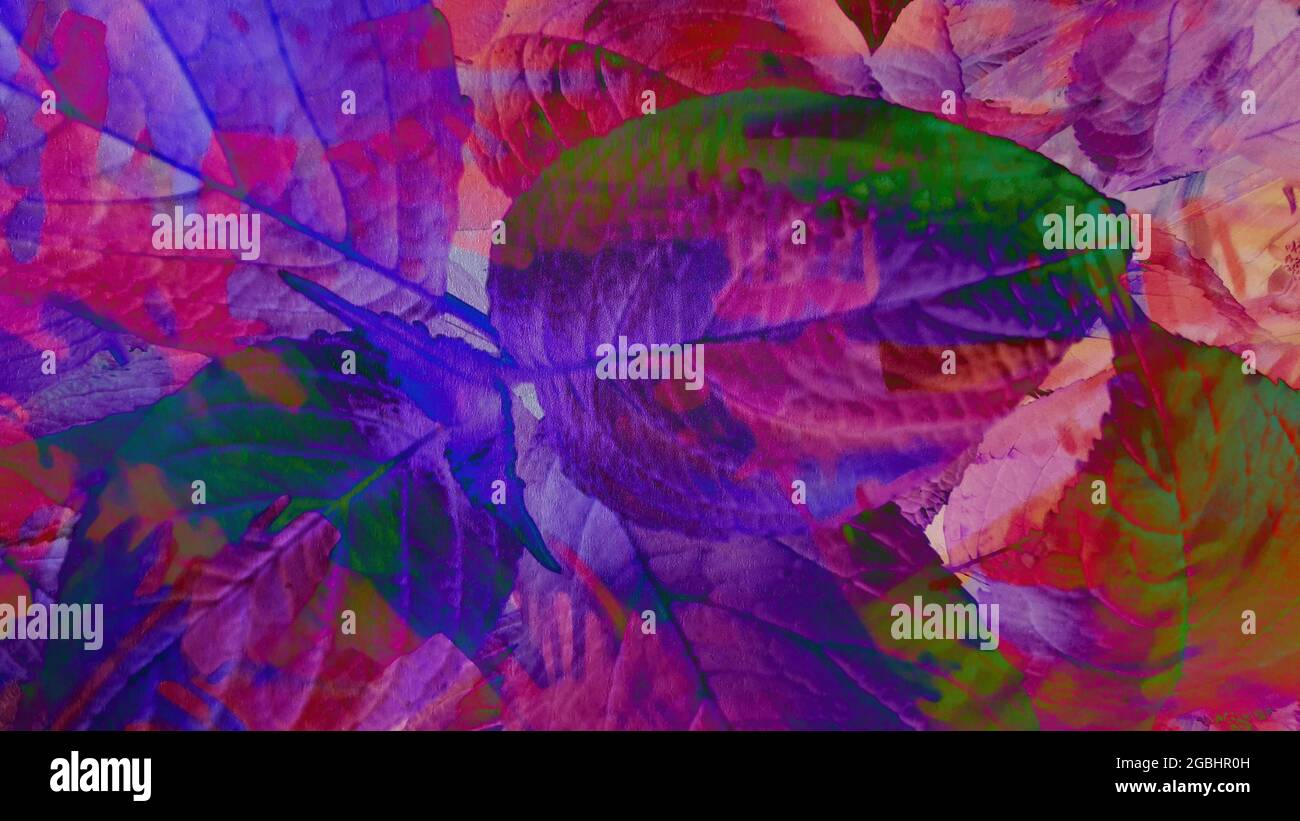 Colourful leaf background Stock Photo - Alamy