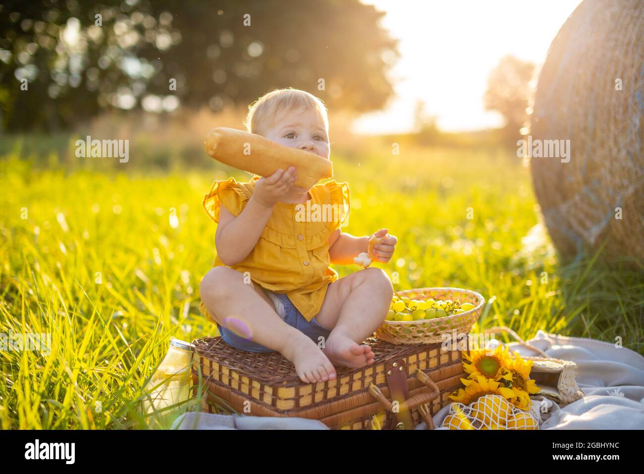 Little girl eats fresh baguette and fruit on a picnic at sunset lights ...