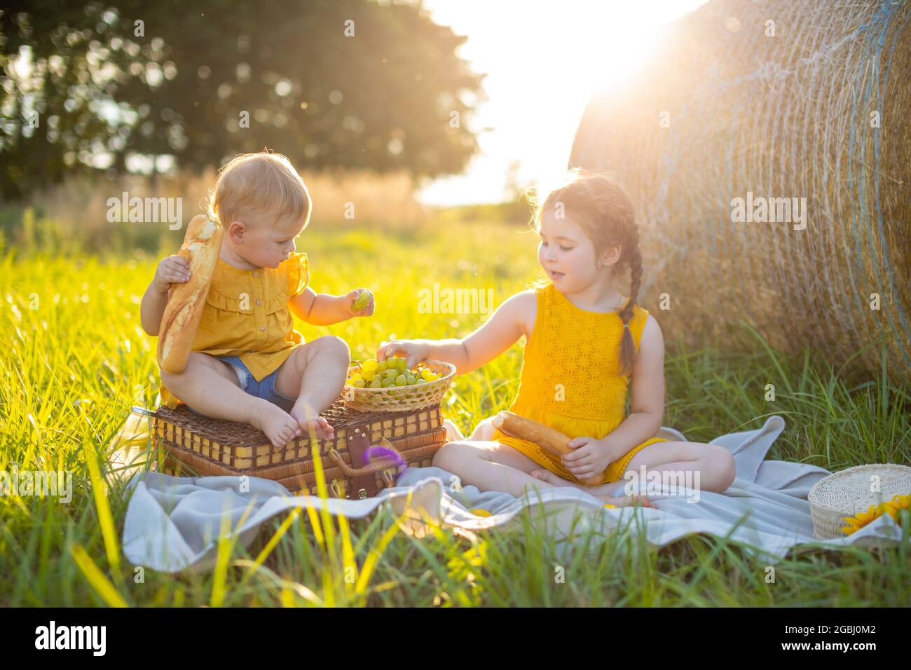 Little girls eats fresh baguette and fruit on a picnic at sunset lights ...