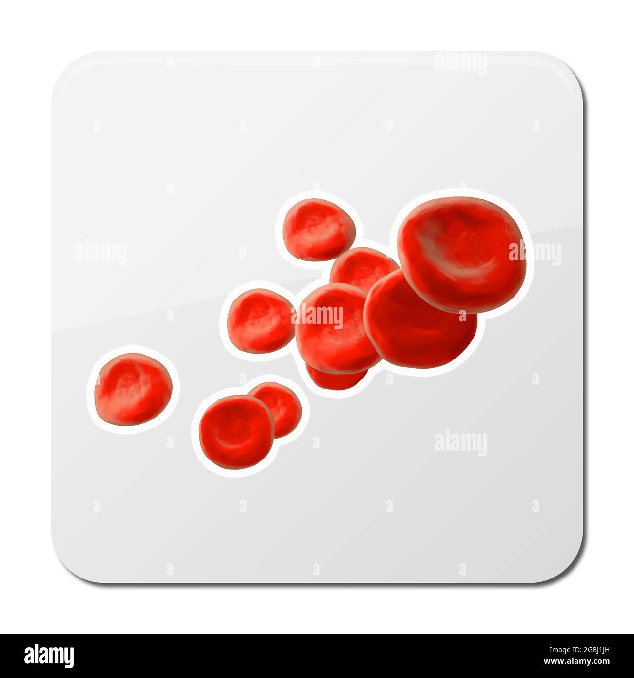 Group of realistic blood cells - 3d render, medical illustration Stock ...