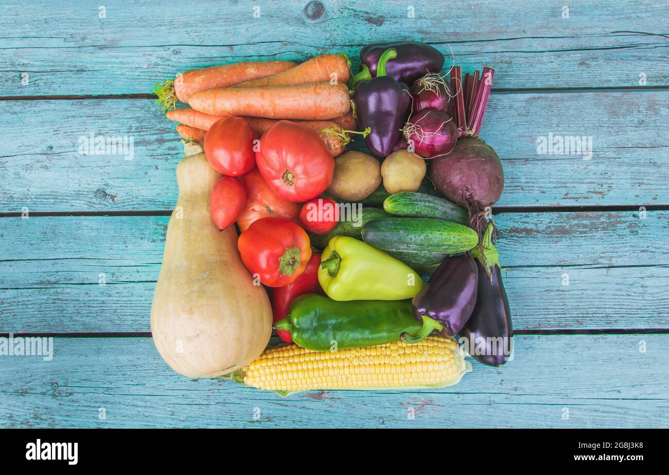 Assortment of fresh organic farm vegetables on a painted blue wooden ...