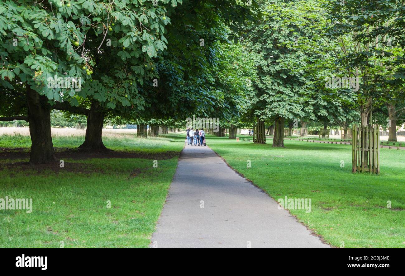 People walking along the path in Bushy Park,England,UK on a sunny ...